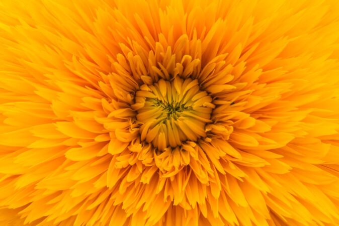 CloseUp Shot | Framing For Emotion & Detail In Film
