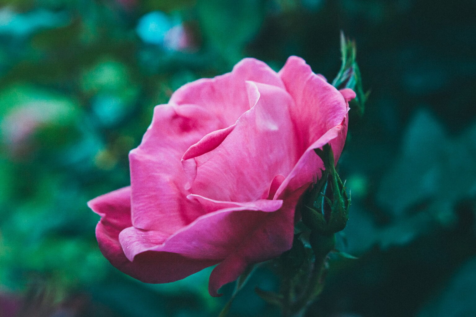 Aperture | Controlling Light Depth In Cinematography