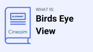 Birds Eye View | Overhead Cinematic Shot Explained