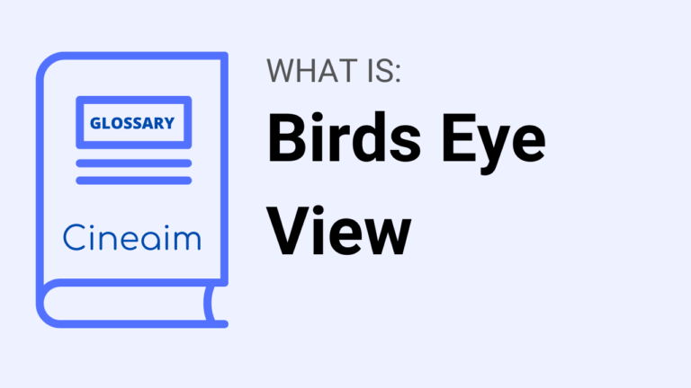 Birds Eye View | Overhead Cinematic Shot Explained